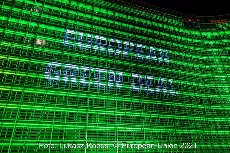 Erneuerbare: Wie von der Leyen die RED II ändern will - Solarserver