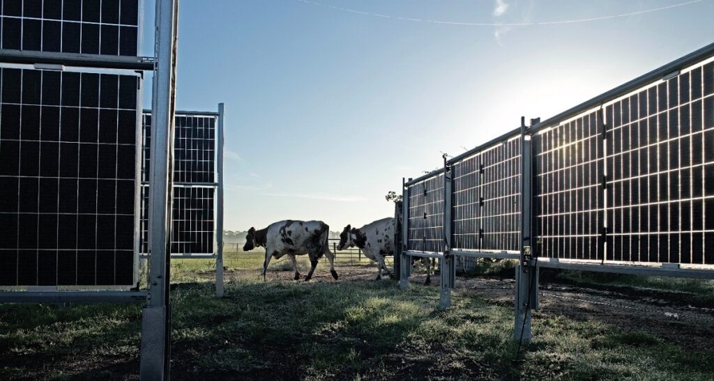 Highfield Solar baut zwei Photovoltaik-Solarparks in Irland - Solarserver