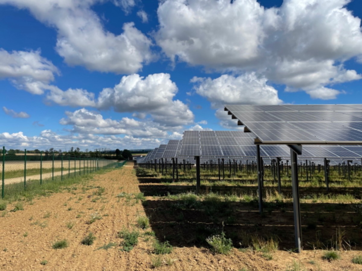 Murphy & Spitz: Agri-PV-Anlage mit 13 MW in Betrieb - Solarserver