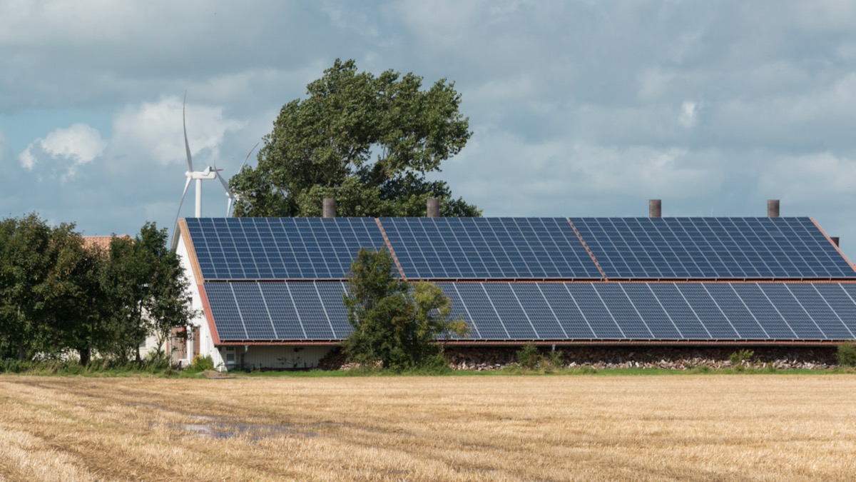 Ausschreibung für Gebäude-Photovoltaik und Windenergie: neue Höchstwerte zeigen Wirkung ...