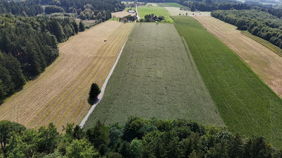 Solmotion baut zwei neue Agri-Photovoltaik-Anlagen - Solarserver